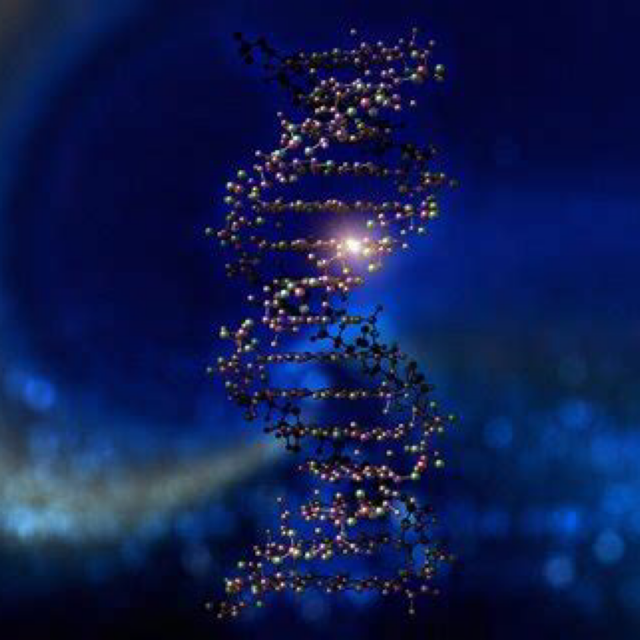 The Architecture of Ascension - Activating your 12 strand consciousness ...